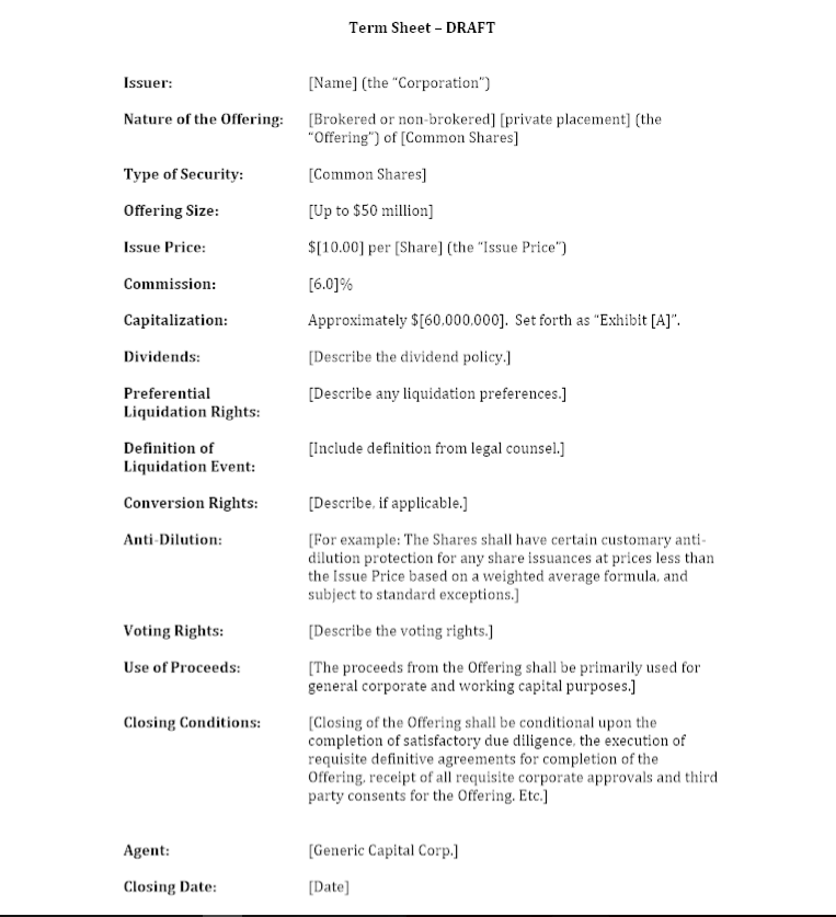 Simple Term Sheet Template Amulette