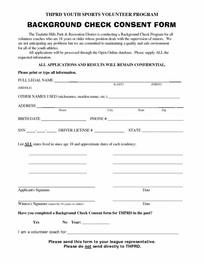 Background Check Form Template | amulette