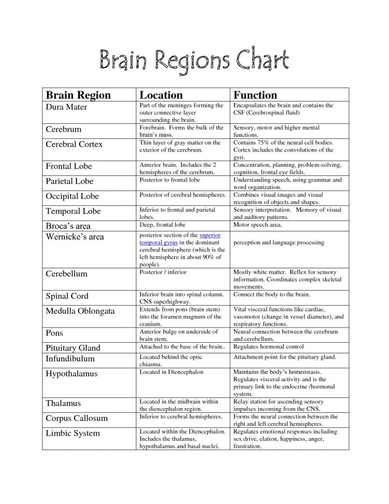 Prohealth My Chart | amulette