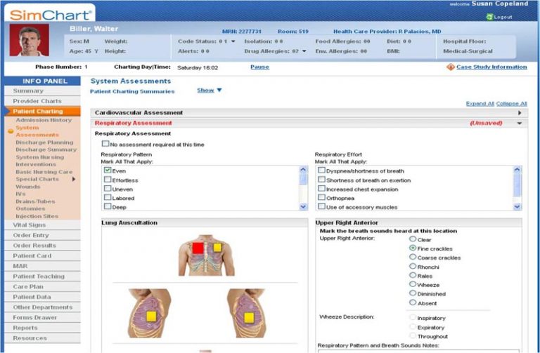 Hospital Charting Systems | amulette